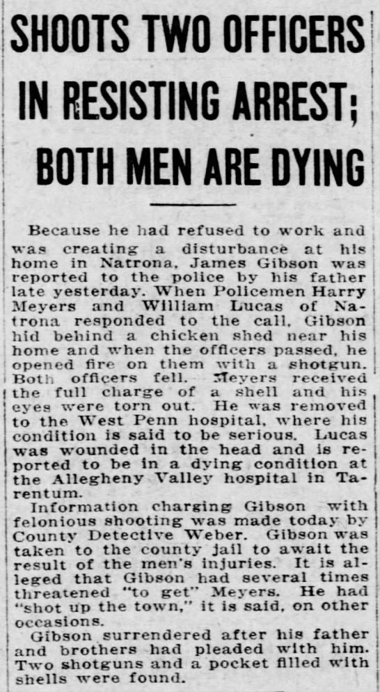 James Archer Gibson – State Killings in the Steel City: The History of ...