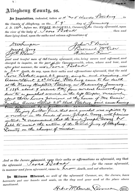 Joseph Orosz – State Killings in the Steel City: The History of the ...